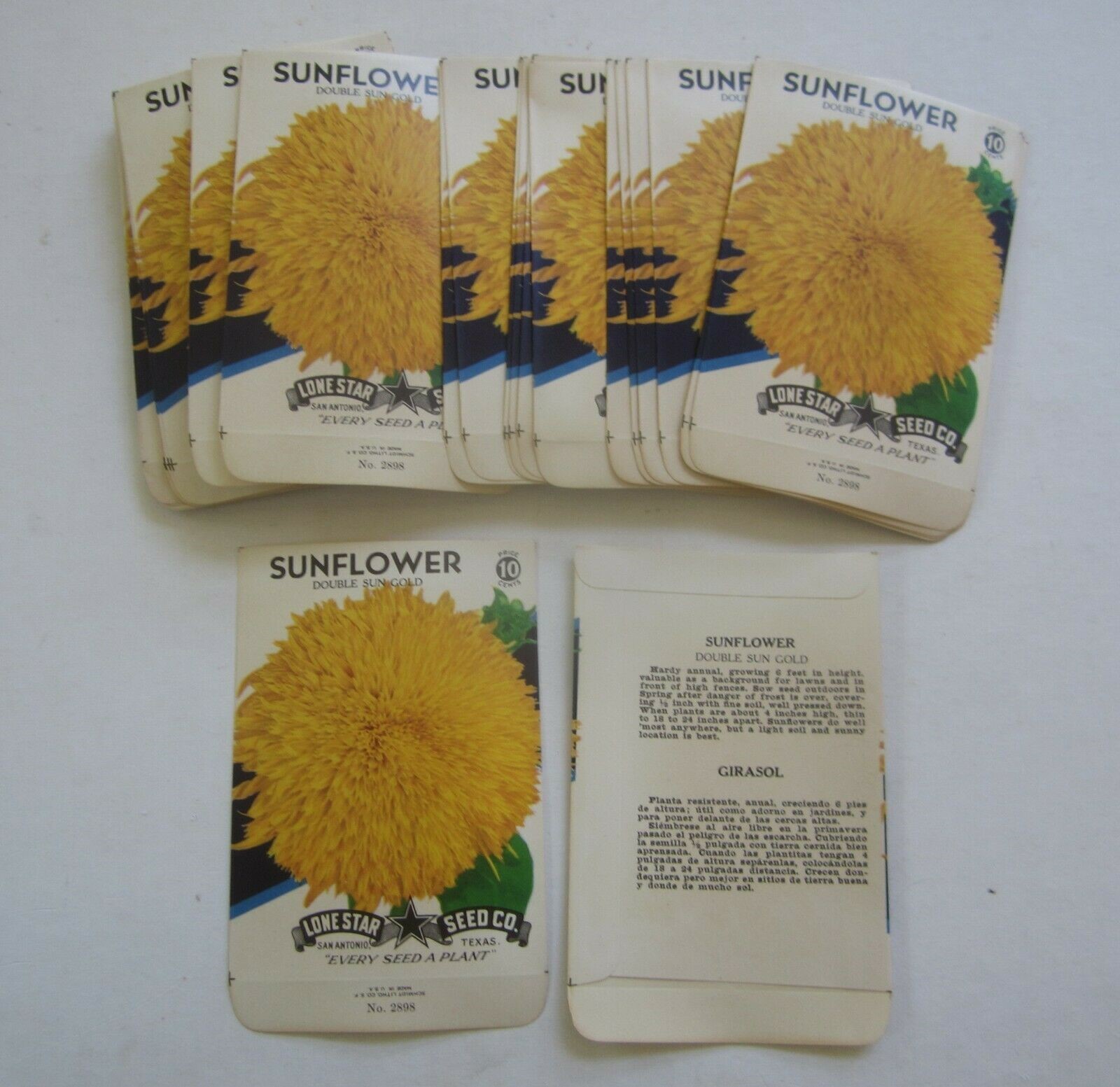 Lot of 50 Old Vintage 1940's - Sunflower - Sun Gold - FLOWER - SEED PACKETS