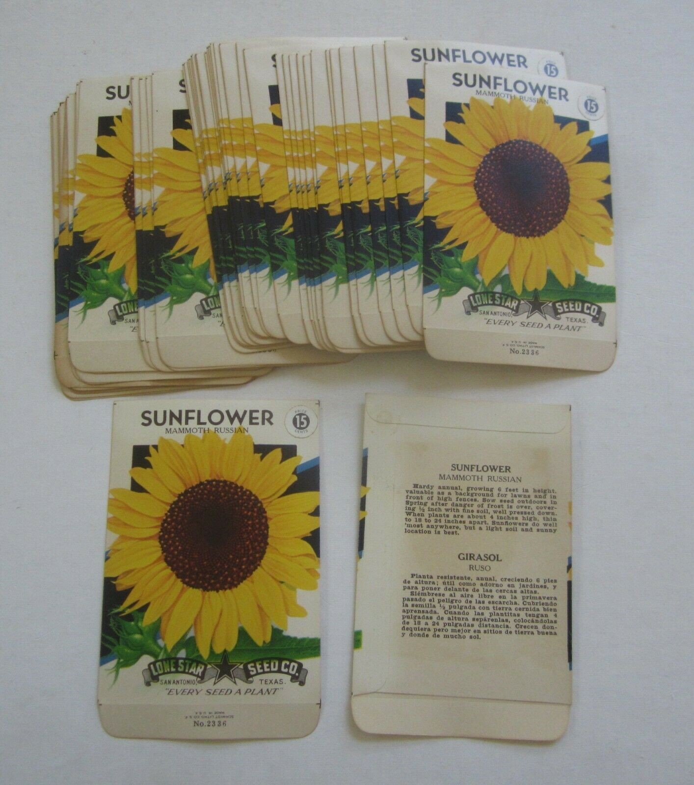 Lot of 25 Old Vintage 1940's SUNFLOWER - Mammoth Russian FLOWER - SEED ...